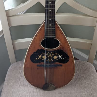 Rare Supertone Bowl back mandolin | Reverb