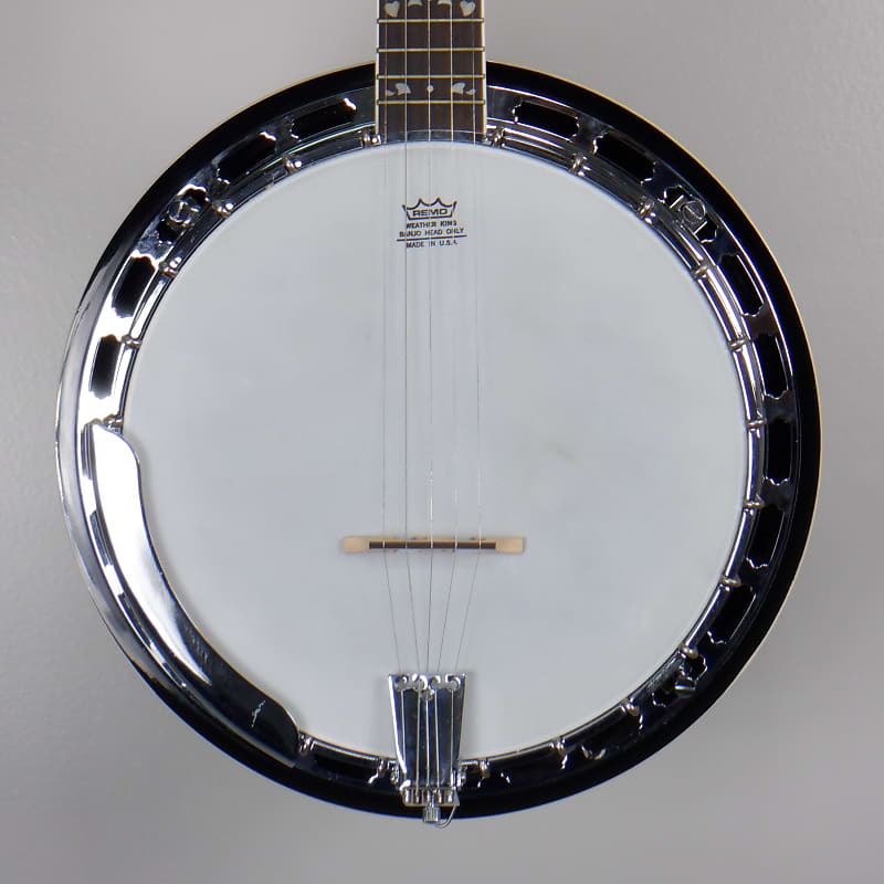 Used Alvarez 4924 SILVER BELLE Five-String Banjo | Reverb