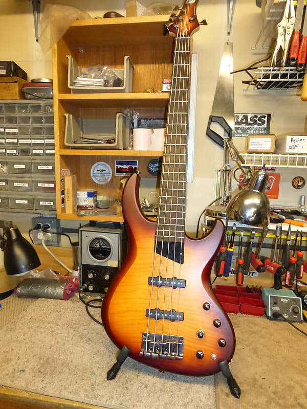 MTD Kingston Saratoga Deluxe 5-string bass - cherry sunburst | Reverb