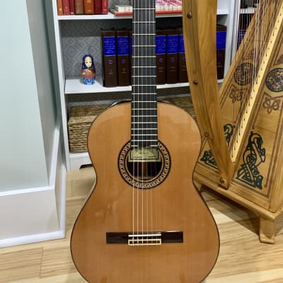 Raimundo 146 Cedar/Indian Rosewood | Reverb
