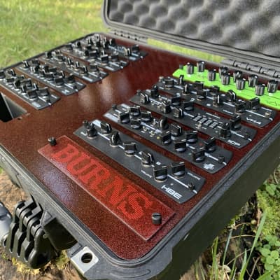 Burns Omega Model 12 Slot Case, Cosmic Midnight Red, for | Reverb