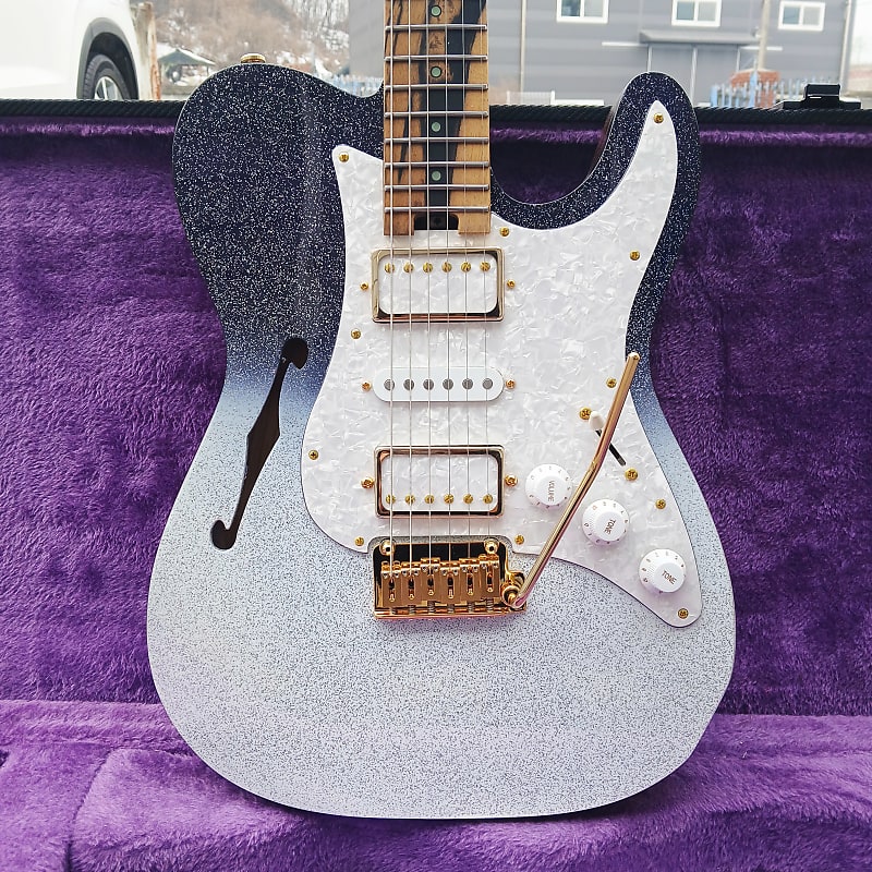 HI Guitar Custom Tele Semi-hollow Body Purple white | Reverb Australia
