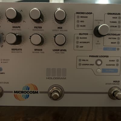 Hologram Electronics Microcosm | Reverb UK