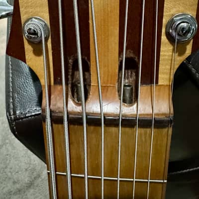 Langlois 8 String Extended-Range Bass - Unique, with Flight | Reverb