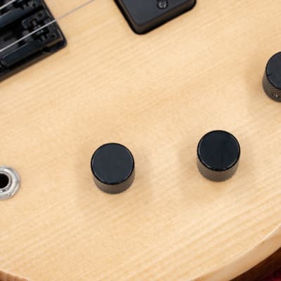 Olive Instruments Limba5 Semi-Hollow 3.76kg【横浜店】 | Reverb