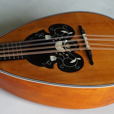 Octaviola - 12 string Mandola circa 1920s | Reverb