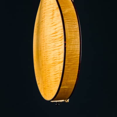 Pava A5 Pro Honey Amber Adirondack Spruce and Quilted Maple | Reverb