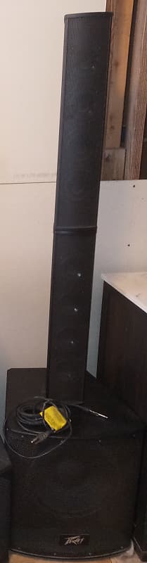Peavey P2 vertical array speakers 2017 | Reverb