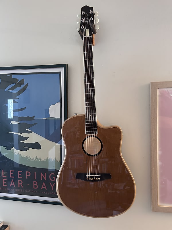 LR Baggs AEG-1 2024 - Terrified spruce | Reverb