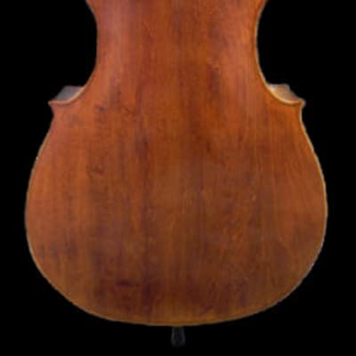 Samuel Shen Model 150 Hybrid Willow Bass - Violin Corners | Reverb