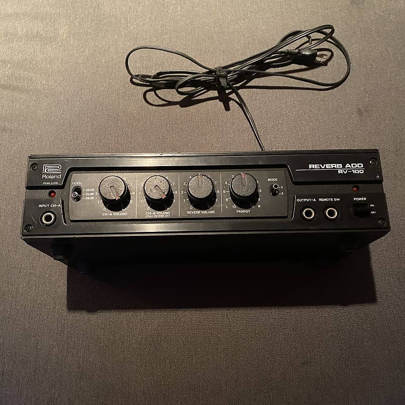 Roland RV-100 Spring Reverb ADD | Reverb