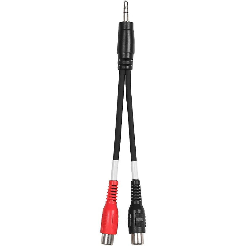 Live Wire Essential Interconnect Y-Cable 3.5 mm TRS Male to | Reverb