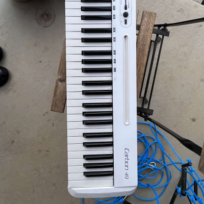 Samson Carbon 49 | Reverb