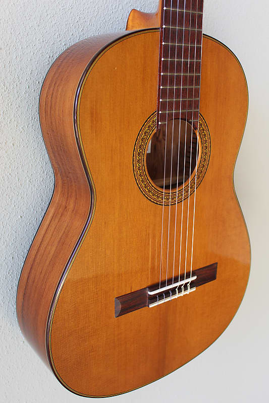 Brand New Left Handed Student Model Cedar Classical Guitar | Reverb UK
