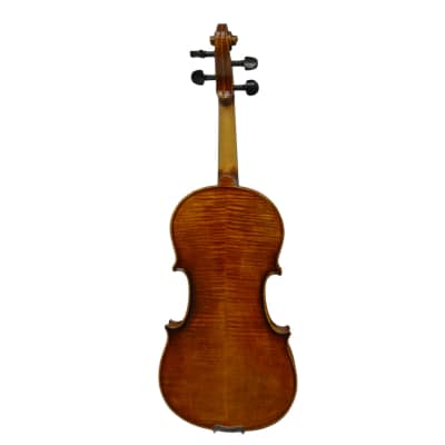 Vienna Strings Munich Violin LTD Handcraft Edition with | Reverb