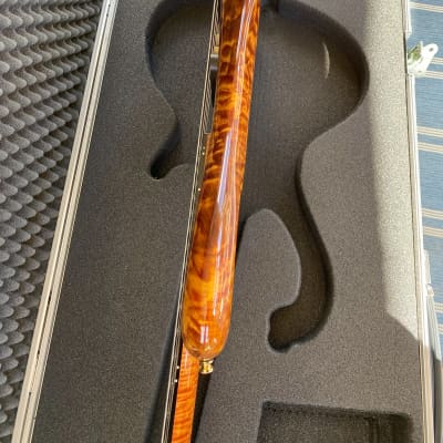 Ritter Roya - Late Lounge Transparent High Gloss | Reverb