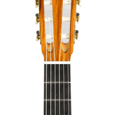 Manuel Adalid 12 Granadillo Classical Guitar | Reverb