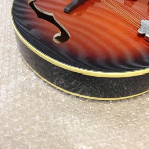 SAMICK SM20E Electric/Acoustic Mandolin Early 90's | Reverb