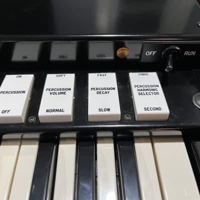MAG P2 Custom Organ (HX3.6) 2024 | Reverb