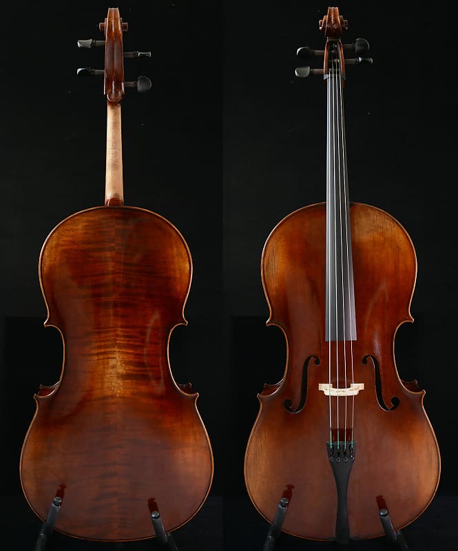 Stunning Sounding 7/8 Cello Stradivari Cello Chestnut Color | Reverb