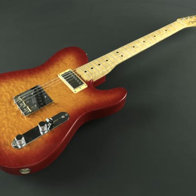 Fender Master built Custom Telecaster Jason Davis | Reverb