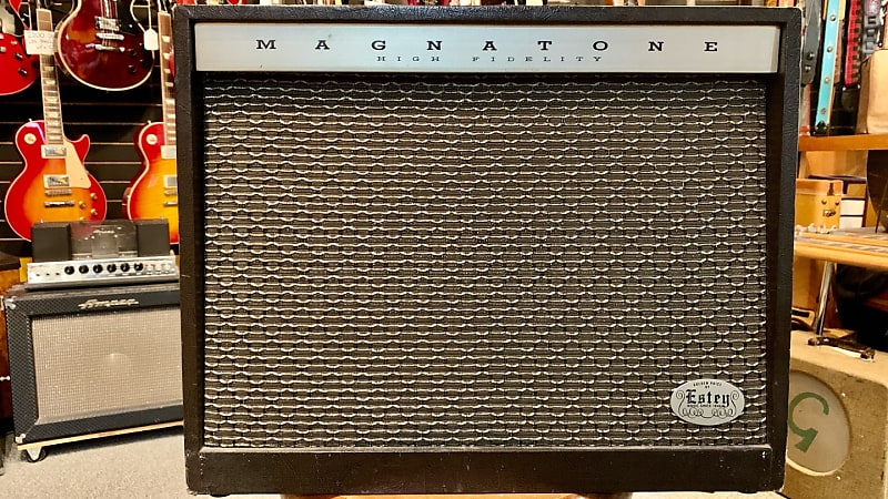 1962 Magnatone Custom 410 | Reverb