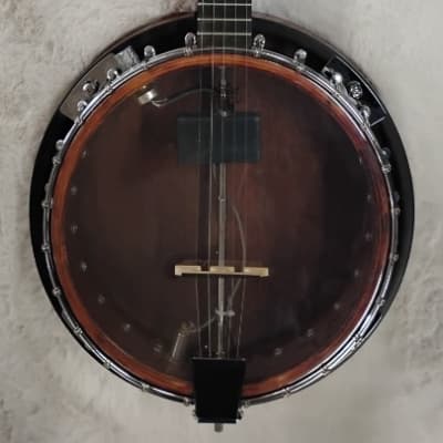 Dean Backwoods Model BW2E 5 string Electric Banjo | Reverb Ireland