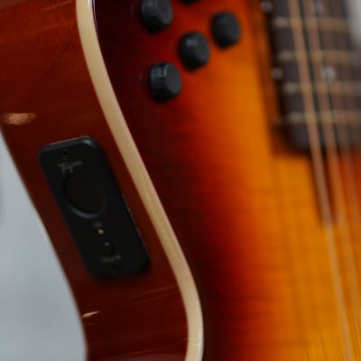 Tagima Modena Steel 2023 | Reverb Canada