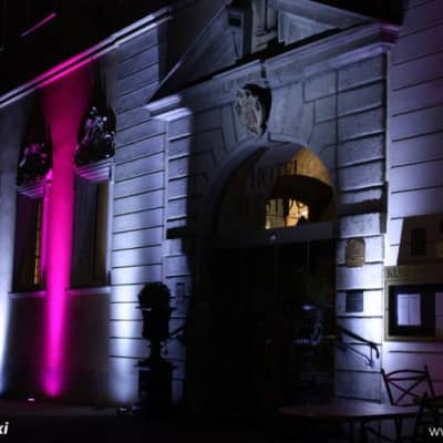 Ape Labs Maxi v1 Pack of 12 w/ Hard Case | Battery | Reverb Canada