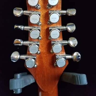 Thomas Buchanan 10 String , 5 course Mandolin / Mandola | Reverb