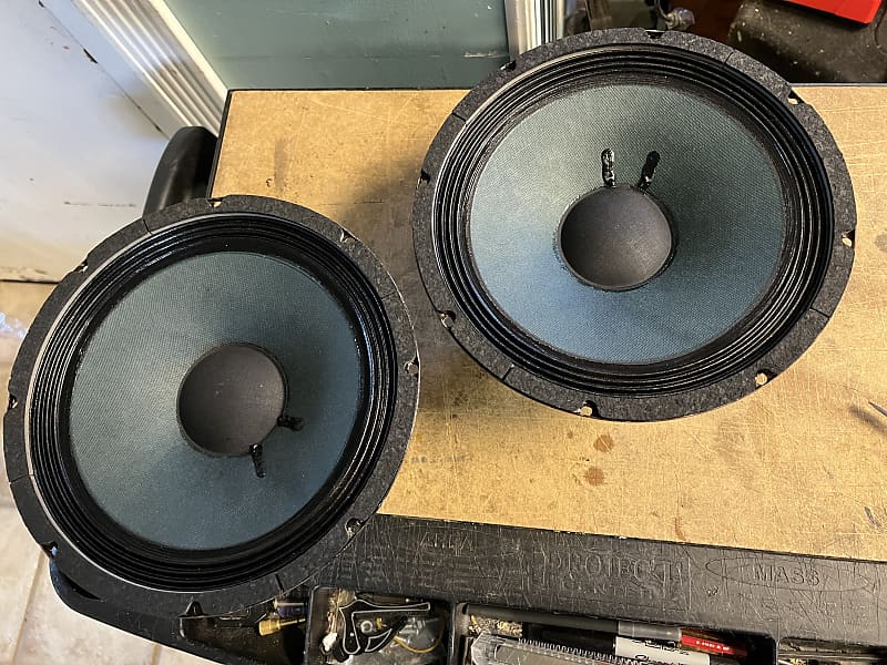 Pair of Vintage 1973 Ampeg SVT CTS Speakers Reconed | Reverb