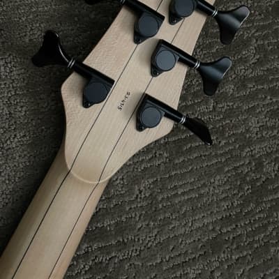 Overwater Progress Series IV Custom 5-String (2023) w/OHSC | Reverb
