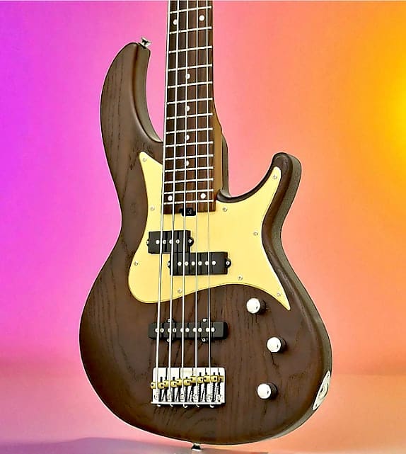 Aria Pro II 313-BB/5 5-String Electric Bass Guitar – | Reverb Canada
