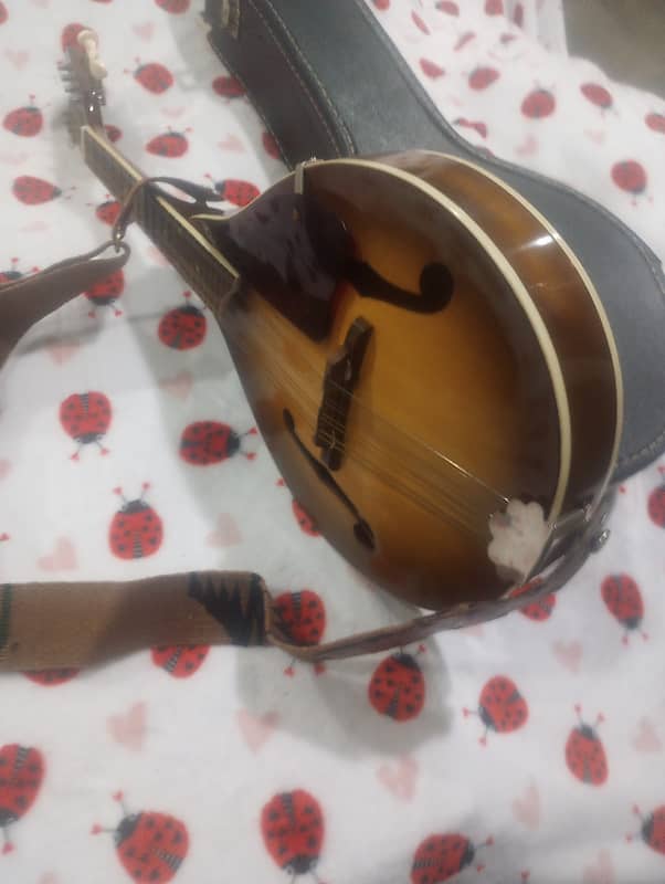 1960's Harmony mandolin clean H 3017 1960's - Sunburst | Reverb