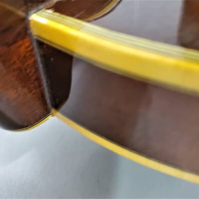 1979 Bradley Epiphone Emperor Thinline Semi-Hollow Body Iced | Reverb