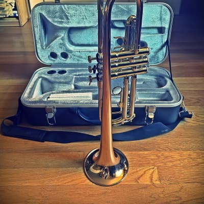 Gorgeous Rose-Brass Trumpet by Simba Instruments | Reverb