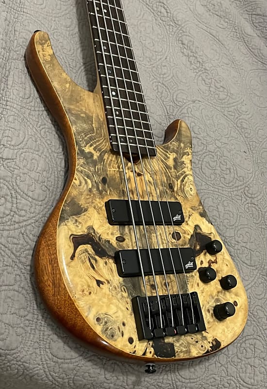Roscoe LG5 Standard Plus Limited Edition - Crazy Buckeye Burl | Reverb