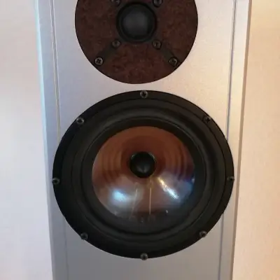 AvantGarde Studietta II Lautsprecher NP 9000 Swiss made | Reverb