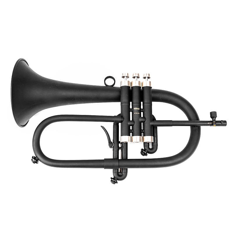 Custom FLUGELHORN made by KGUmusic-Taylor collaboration BLACK | Reverb