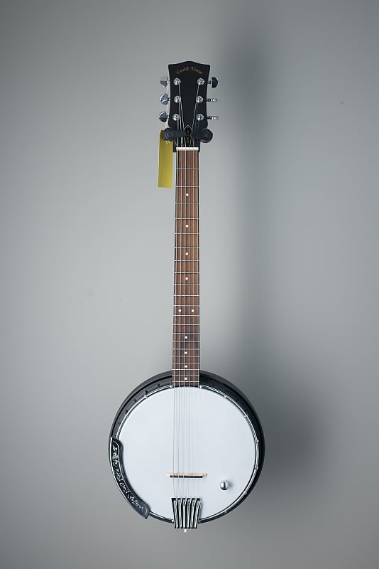 Gold Tone I-AC-6+ Composite Resonator Acoustic-Electric | Reverb