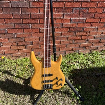 Ken Smith Burner 5 String Bass Guitar | Reverb