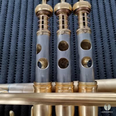 D. Calicchio L 1s ML goldplated trumpet, original case ! | Reverb