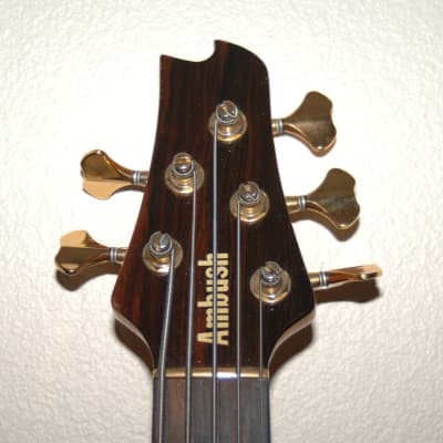 1993 Scott Ambush 5-String Bass | Reverb