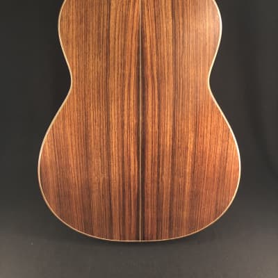 2010 David Pace "Double Top" Classical Guitar | Reverb