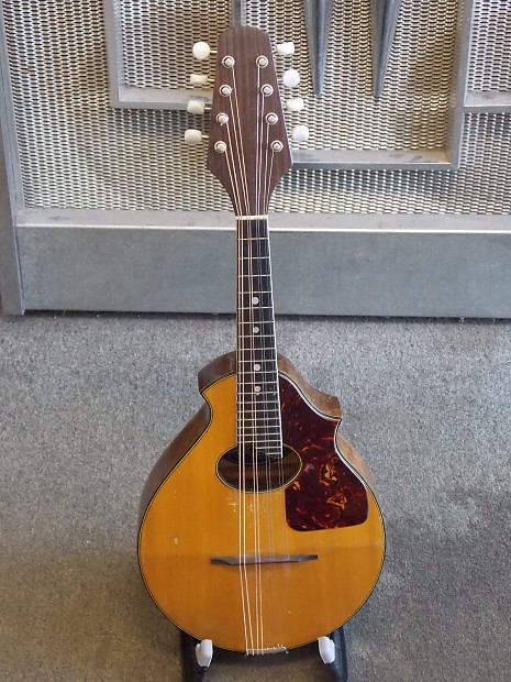 C. Bruno The Vernon Mandolin | Reverb