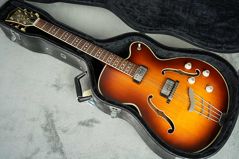 1965 Hofner President + HSC | Reverb UK