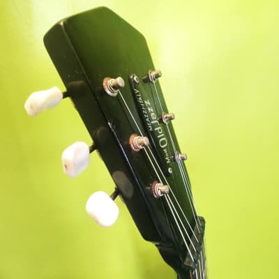 1960s Meazzi Hollywood - Old Jazz - Semi Hollow Body Electric | Reverb