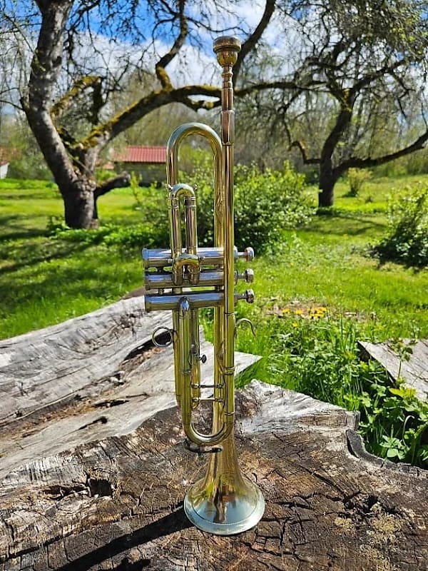 Italian beauty, Stell Melodi, Bb trumpet | Reverb UK