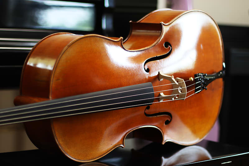 Plum Grove Music PGM4100C4/4 Cello 4/4 | Reverb