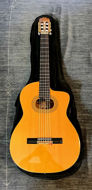 VV: '89 Takamine E30 classical electric guitar, new bag, | Reverb